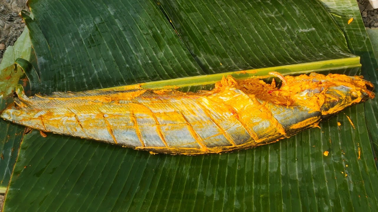 Big Boal Fish 🐟 Cooking In Village Style #food @nature_northeast-7 ...