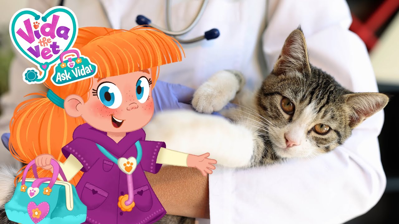 Going to the Vet!?! + Taking Care of Animals 💖 Ask Vida 🩺⛑️ Full ...
