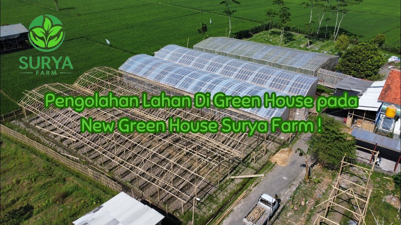 Olah Lahan Pasca Panen Green House Surya Farm - YouTube