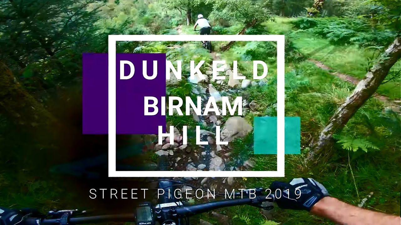 Dunkeld MTB trails | Birnam Hill - YouTube