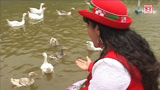 Wilma Contreras - Patito de la Laguna - Producciones Chicoca