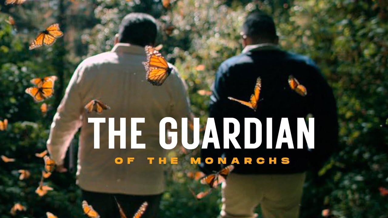 The Guardian of the Monarchs | Tráiler oficial | Netflix - YouTube