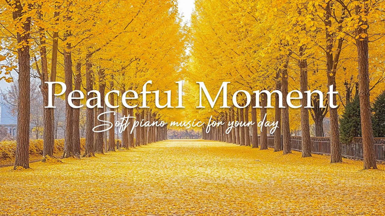 일상에서 잠깐의 여유를 만들어주는 평화로운 시간 🌸- Peaceful Moment - YouTube