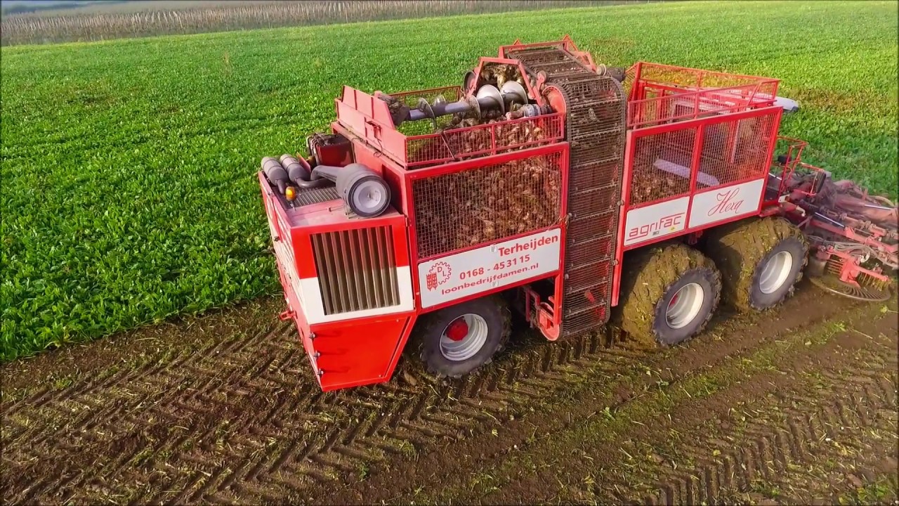 Agrifac Hexa 12 suikerbieten rooier - YouTube
