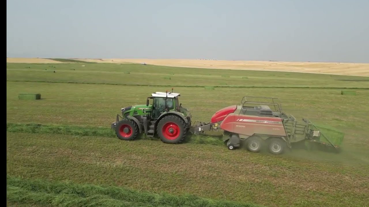Bailing 2nd Cut Hay Alfalfa | Fendt 933 & Massey Ferguson 2270 - YouTube