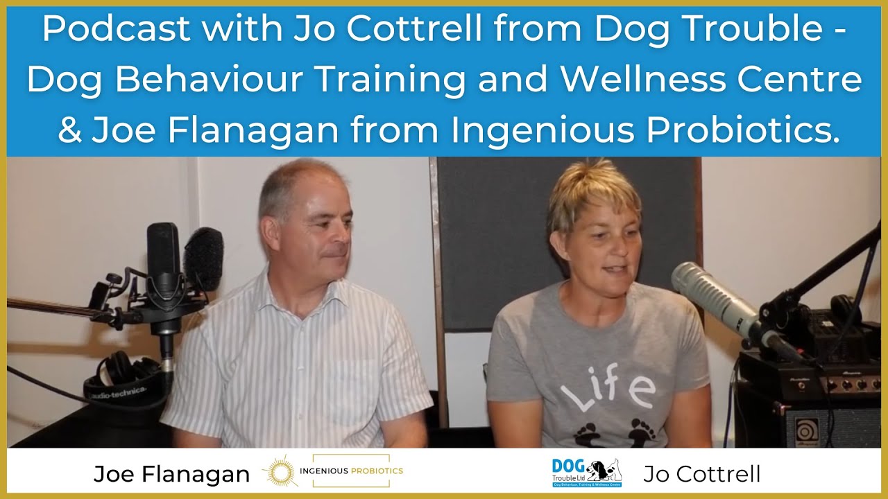 Podcast - Joe Flanagan chats with dog behaviour specialist Jo Cottrell ...