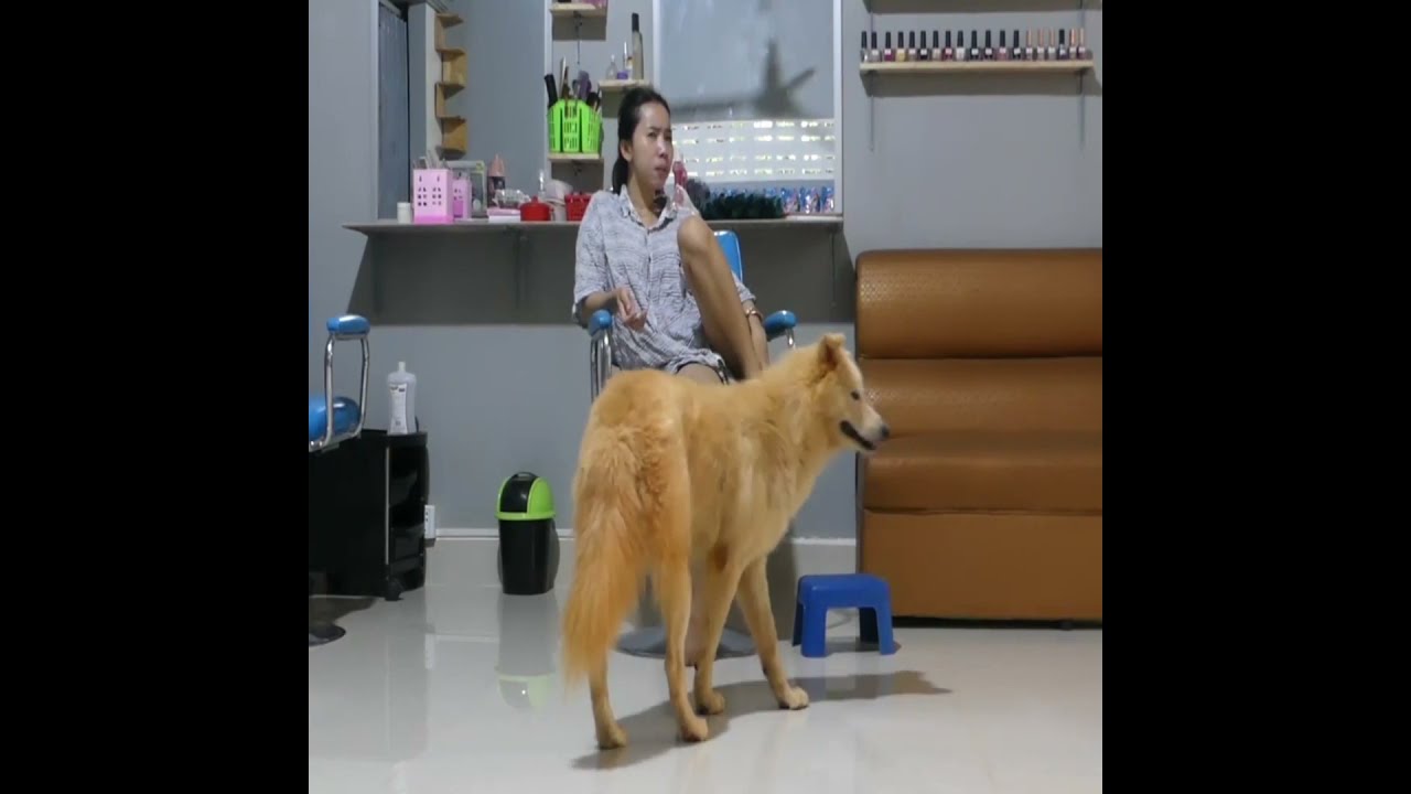 Beautiful Single Mom Feeding And Make Love With Her Dog - YouTube