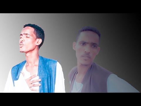 الرائع محمد آدم  حيات#Mahamad Adem Hayat tigre music