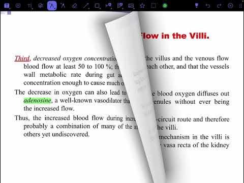 Physiology lecture 2 part 2 - YouTube