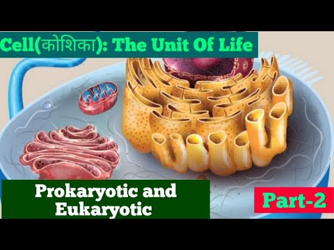 Cell(कोशिका): Prokaryotic cell and Eukaryotic Cell # Protoplasm Theory ...
