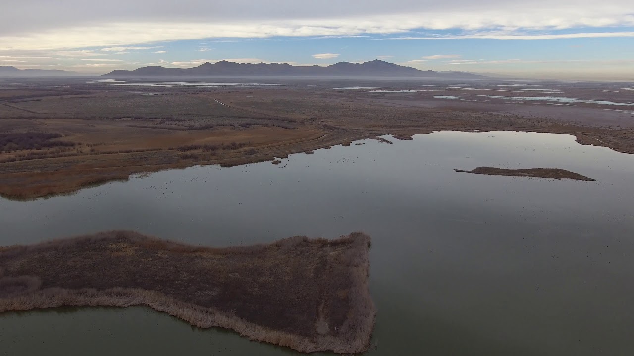 Gilmore Cattle Ranch - YouTube