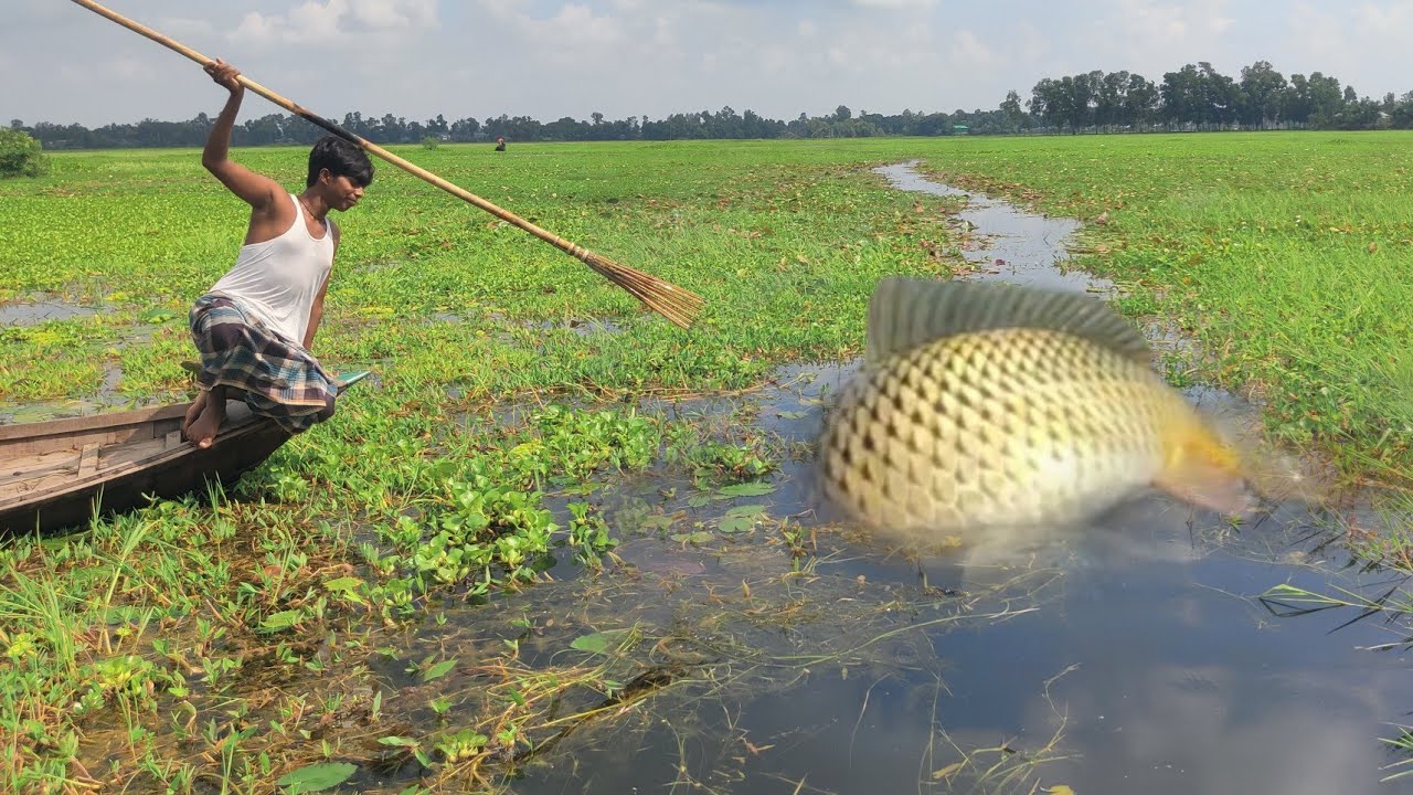 Fishing Video🤨Village Flood Water Boat Cast Koch Fishing Video ...