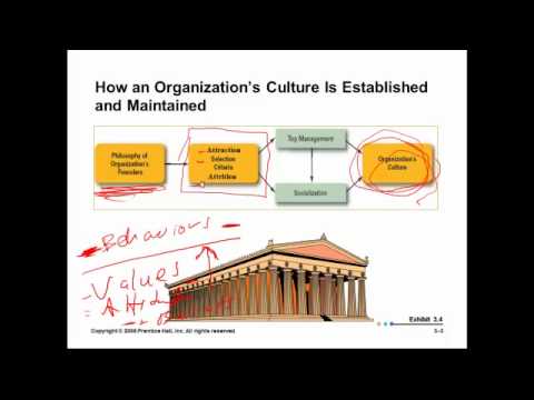 Organizational Culture: Principles of Management - YouTube