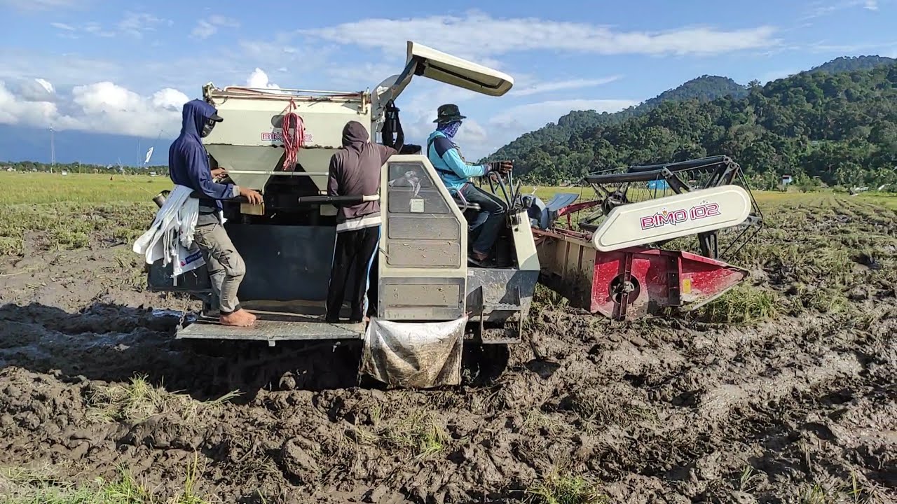 Traktor sawah | Mesin padi Combine harvester Quick - YouTube