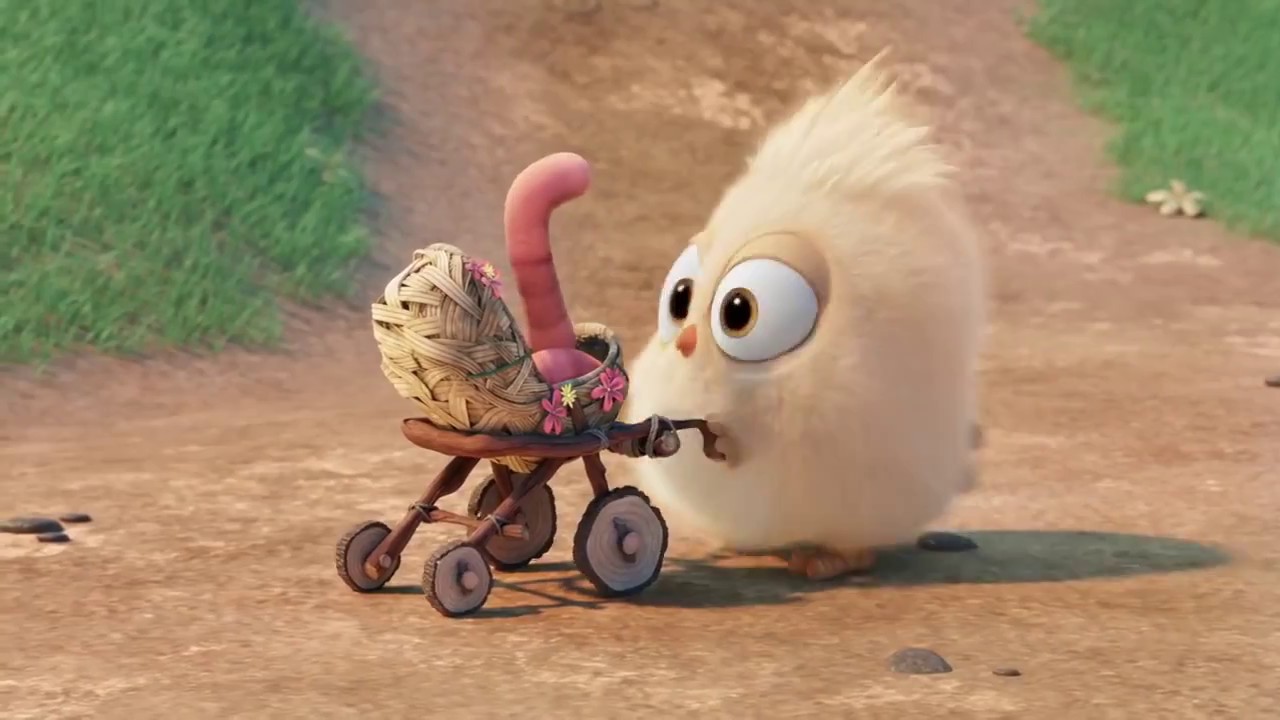 El pollito y la Lombriz - The Angry Birds - YouTube