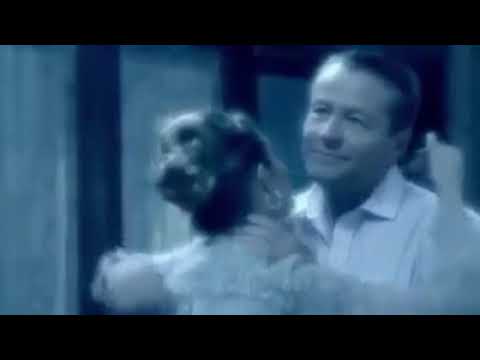 Mariluz Bermúdez en #LasAmazonas - Capítulo 60 - Año: 05 Agos 16