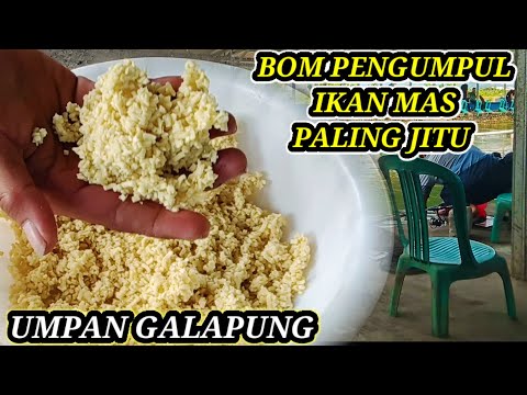 BEGINI CARA BUATNYA !!! BOM PENGUMPUL IKAN MAS PALING JITU