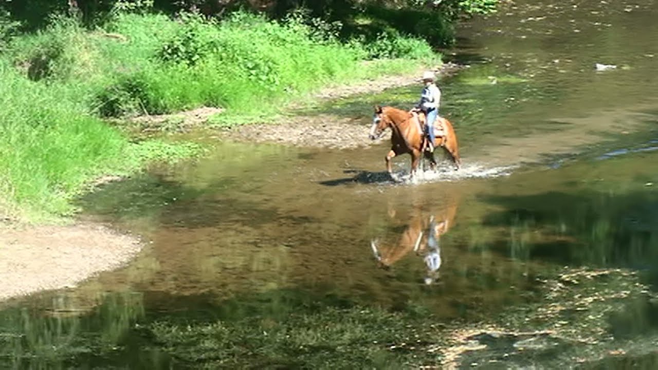 Smoken Red Badger Trail Riding Solo - YouTube