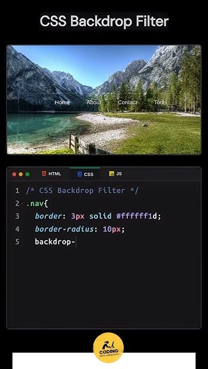 Html Html5 Howto Beginners Beginner Htmlcss Javascript Java Webdesign Css3 Css