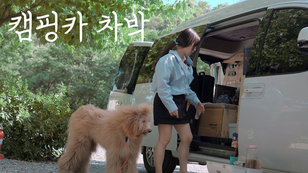 바람은 불고 타프는 못치겠고 캠핑카는 고장나고🙉 울어야 되나요😂 스타리아 캠핑카🧡 스타리아 차박🚙 차박 캠핑카