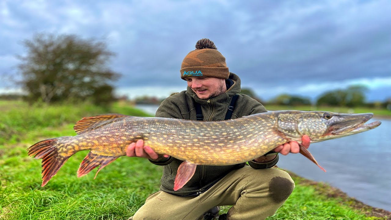 2023 PIKE MONTAGE || PIKE FISHING UK - YouTube