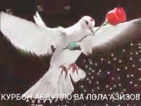Курбон Абдулло & Лола Азизова - Занги камолот.