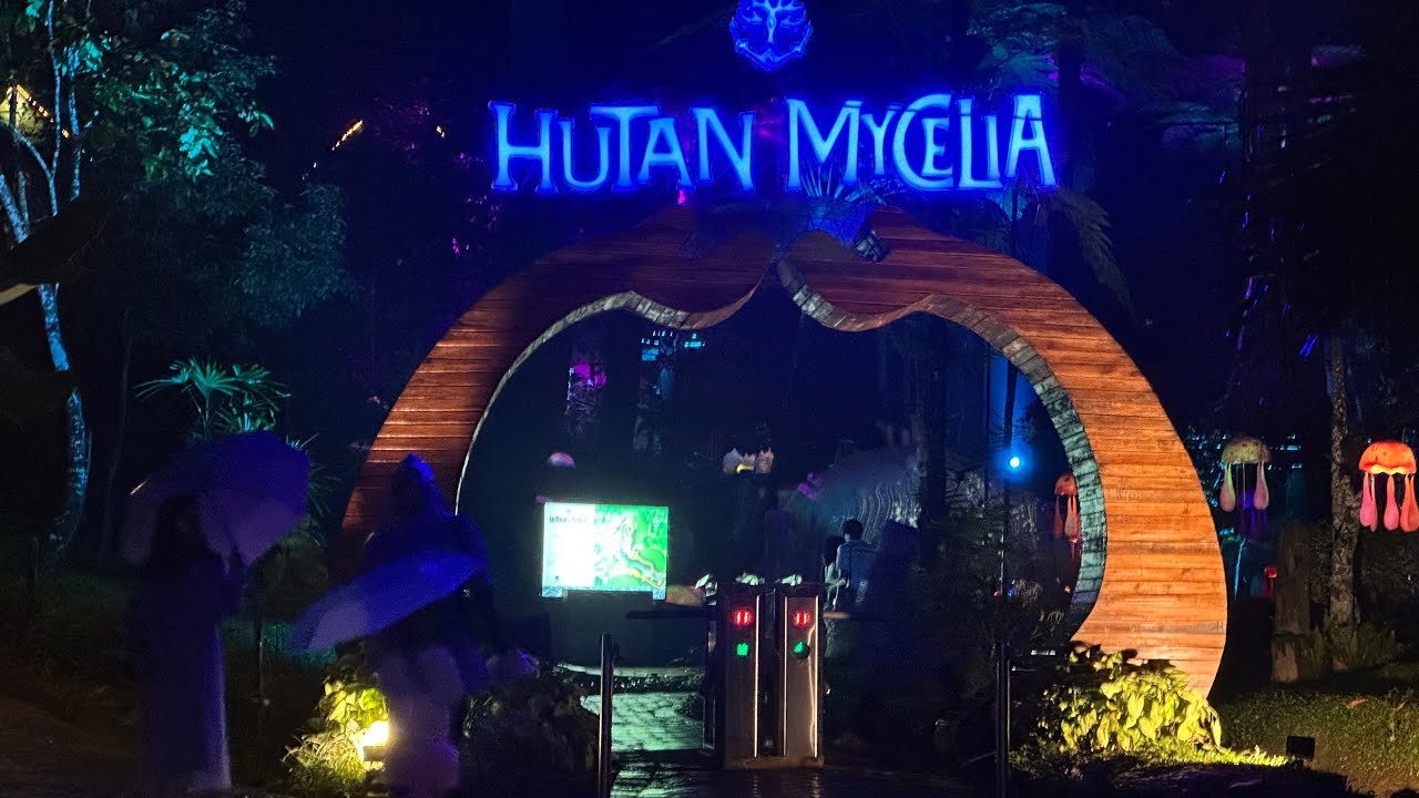 Orchid Forest + Hutan Mycelia | Cikole Forest Bandung - YouTube