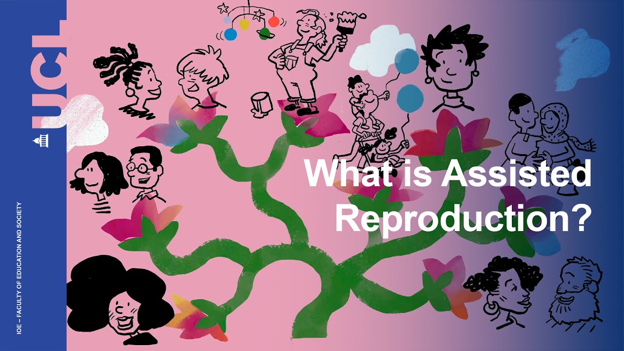 Assisted Reproduction: a short educational film | UCL IOE - YouTube