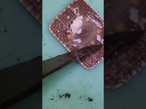 Do you know what inside SIM card??? - YouTube