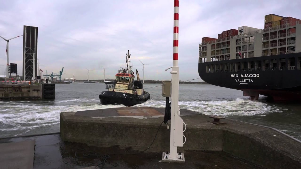 MSC AJACCIO Containerschip Berendrechtsluis - YouTube