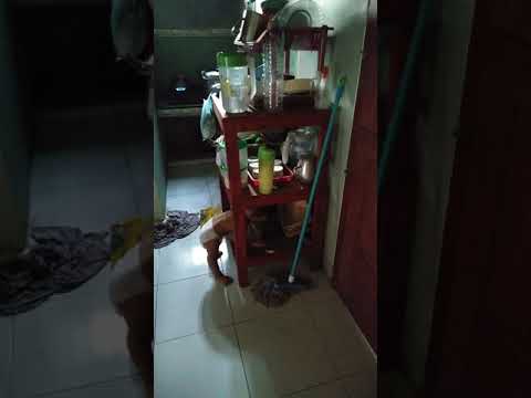 Pagi2 ada tuyul tuyulan di dapur