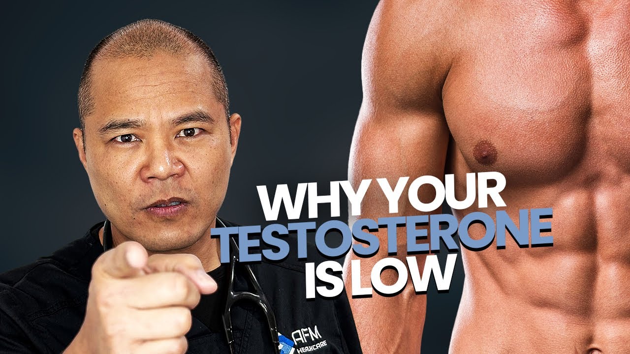 Patient Consult | Why Your Diet is Killing Your Testosterone (Doctor ...