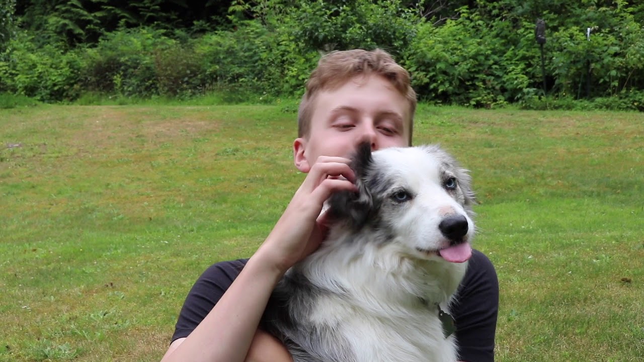 PAWS CAST EPISODE 4 FINAL 2 - YouTube