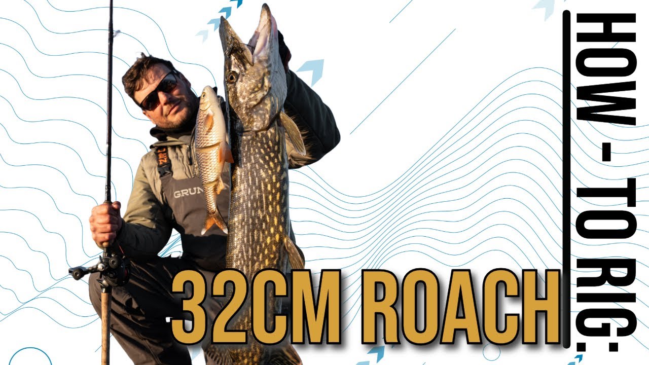 Member video: How to rig the 32cm Roach - YouTube