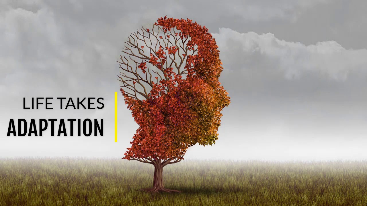 Life Takes Adaptation - Life Takes Nerve - YouTube
