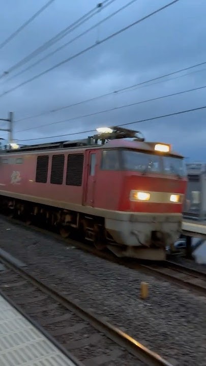 EF510-8 単機4075レ 2025/4/7 #EF510 #レッドサンダー - YouTube