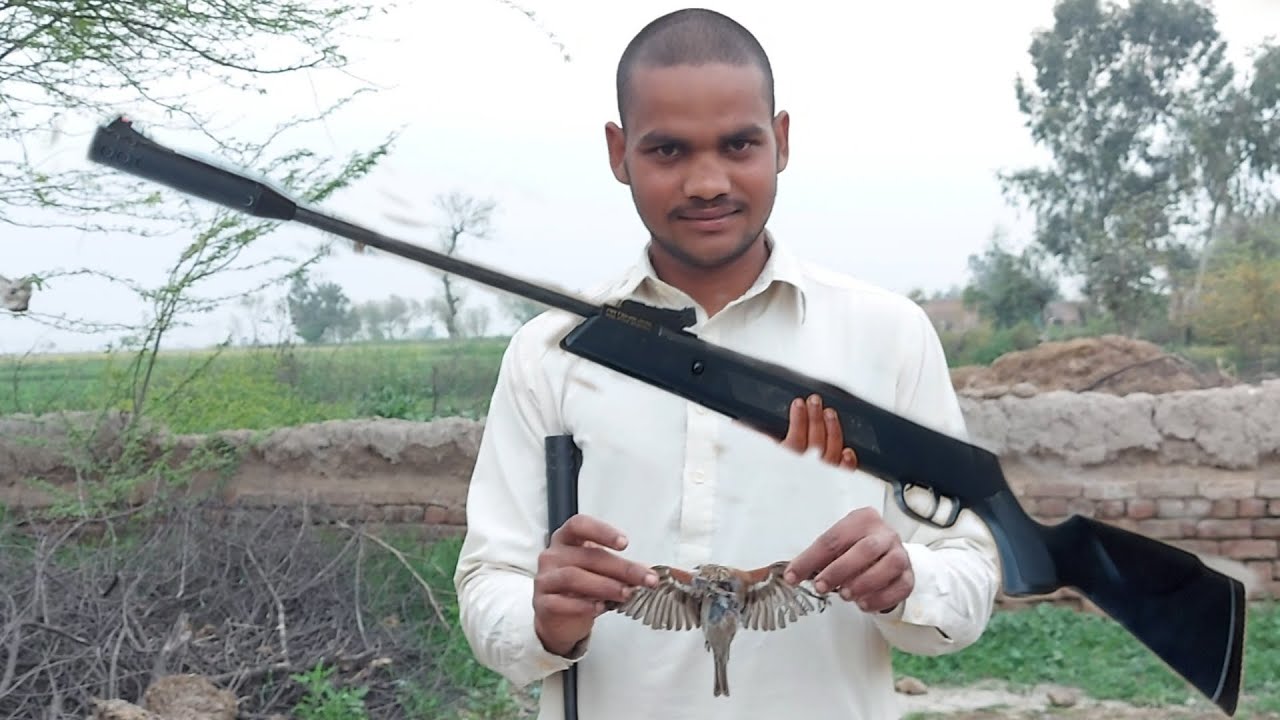 Air gun hunting in Punjab Pakistan ||Air gun hunting SR1000S - YouTube