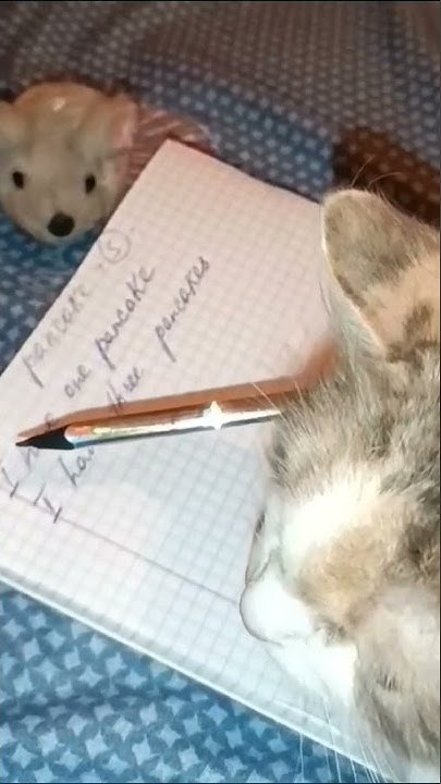 май инглиш из бед... из бед и огорчений 😹🙈 - YouTube