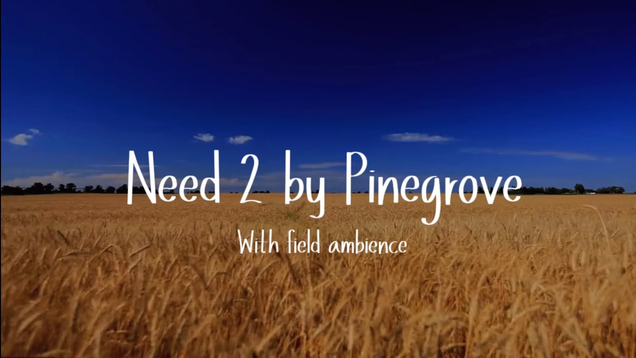Need 2 by Pinegrove with field ambience - YouTube