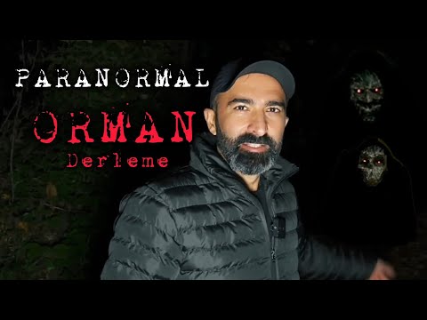 Dünyada ilk ışınlanma Derin Orman  ! Paranormal olaylar