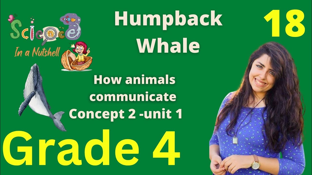 Science-humpback whale- Concept 2 -Unit 1-Grade 4-video 18 - YouTube