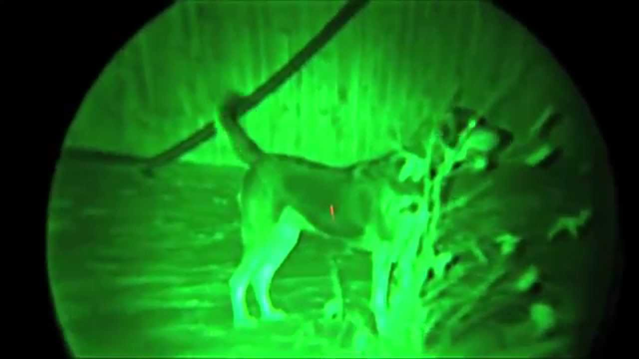 Armasight Vampire 3x Night Vision Riflescope with CORE Technology - YouTube