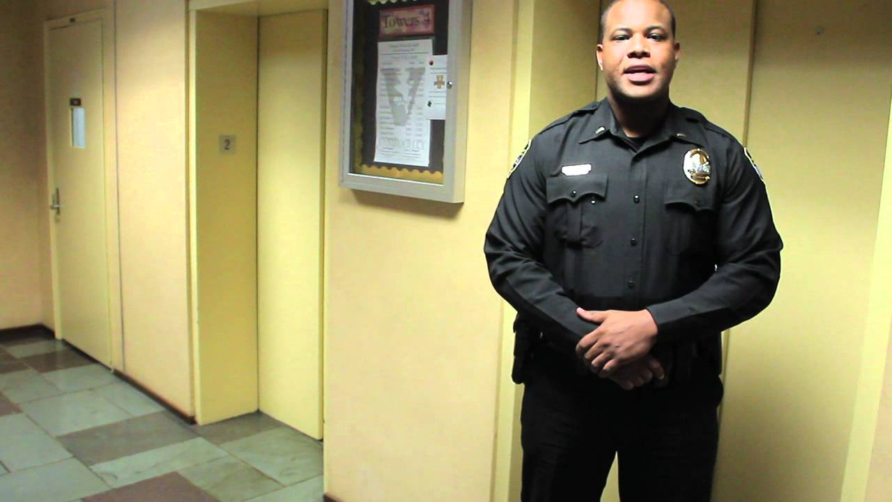 Piggyback Mayhem - YouTube