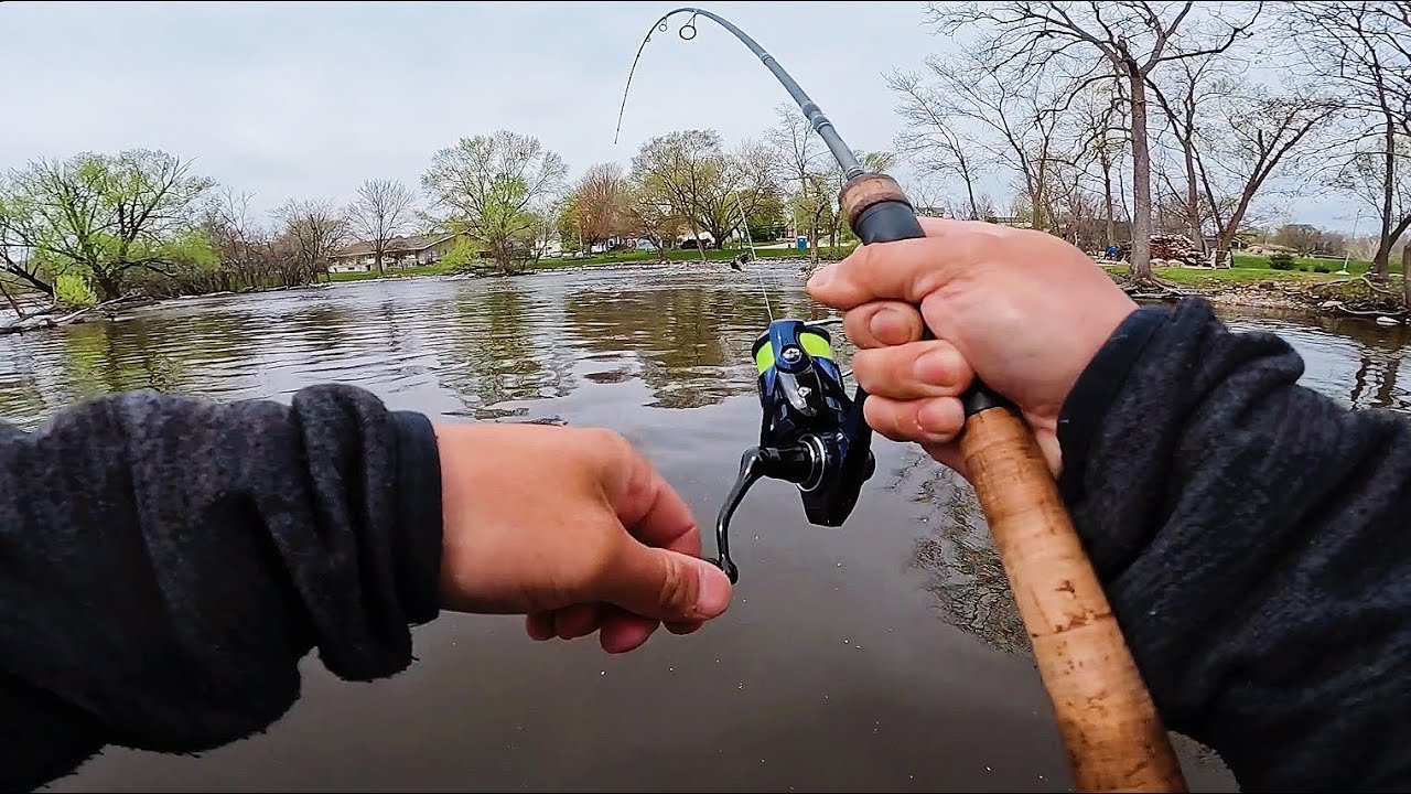 Fishing for Anything that Lives Here (Big Fish on Light Tackle) - YouTube