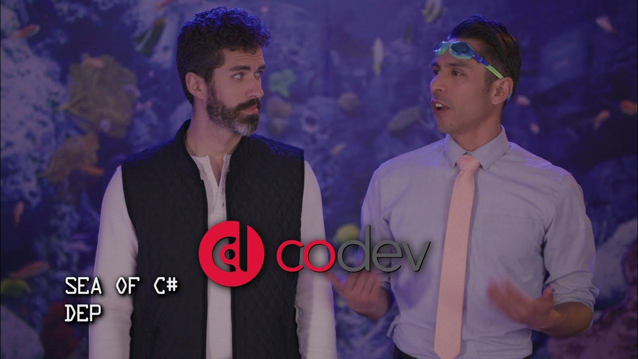 How CoDev's Process Works - YouTube