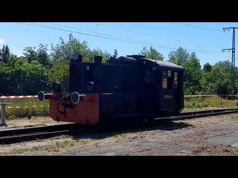 BR 310 im Lokschuppen Großheringen - YouTube