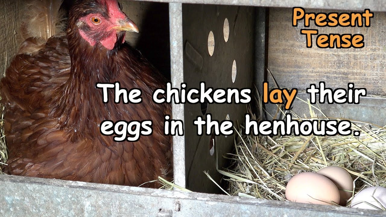 What is the Difference between Lay, Lie, and Laid? A Surefire Way to ...