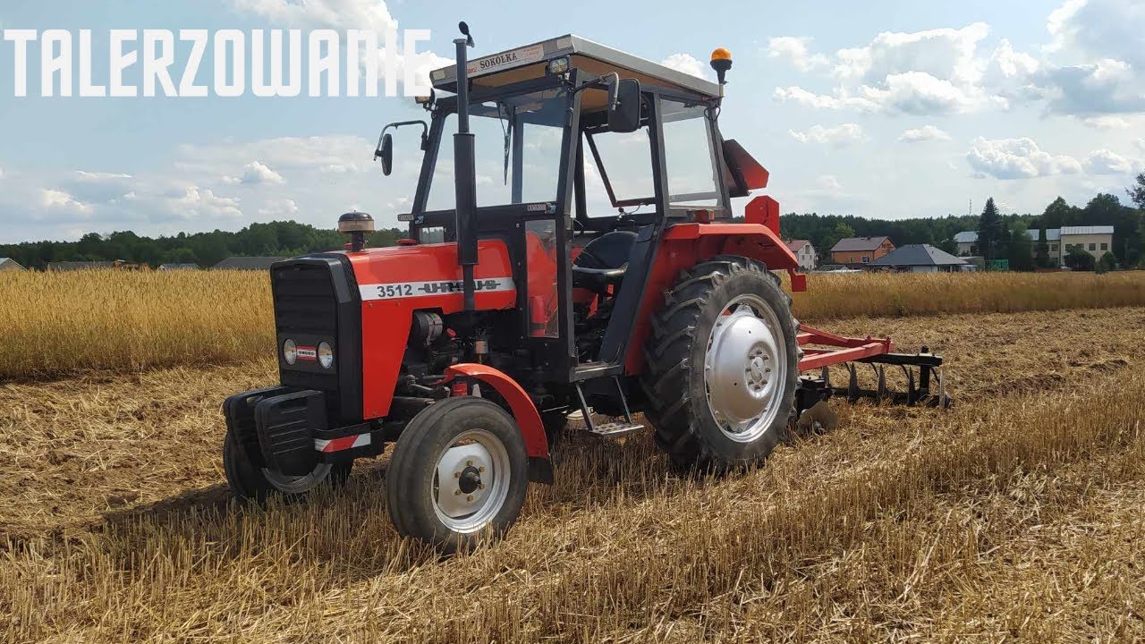 TALERZOWANIE ŚCIERNISKA FERDEK W AKCJI - YouTube