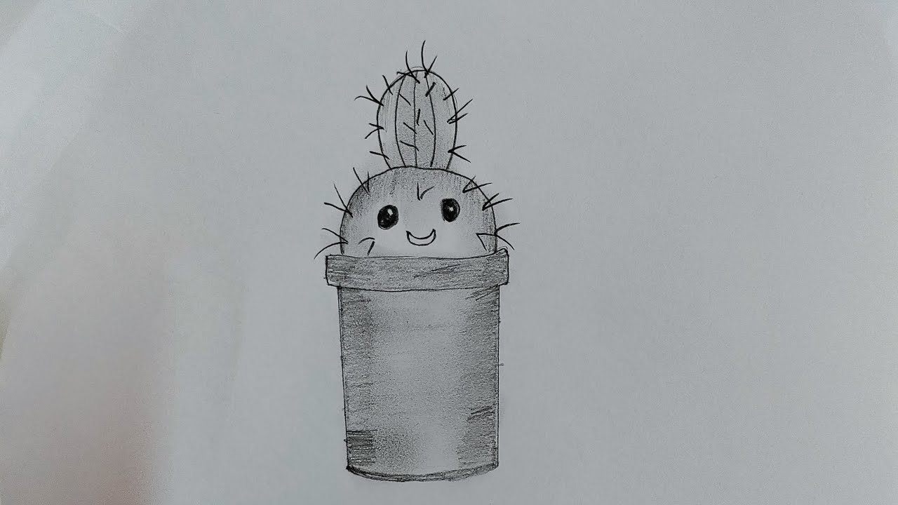 Little cute cactus pencil drawing || pencil drawing for beginners ...