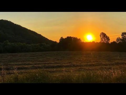 ETKİLEYİCİ SÖZLER 🕊️ ANLAMLI SÖZLER ✨ GÜZEL SÖZLER 💐 DÜŞÜNDÜREN SÖZLER 🕊️ DUYGUSAL SÖZLER🍁HAYATTAN 🪶